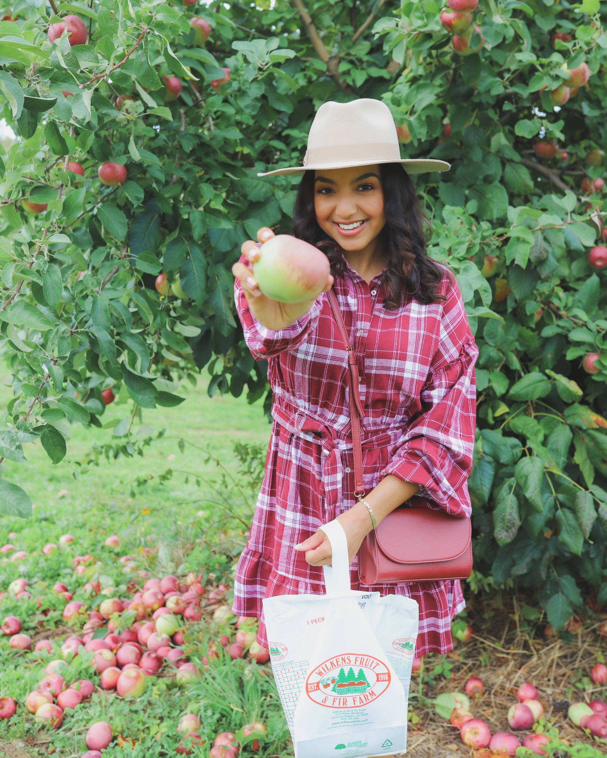 5 Farms to Visit in New York During the Fall Season