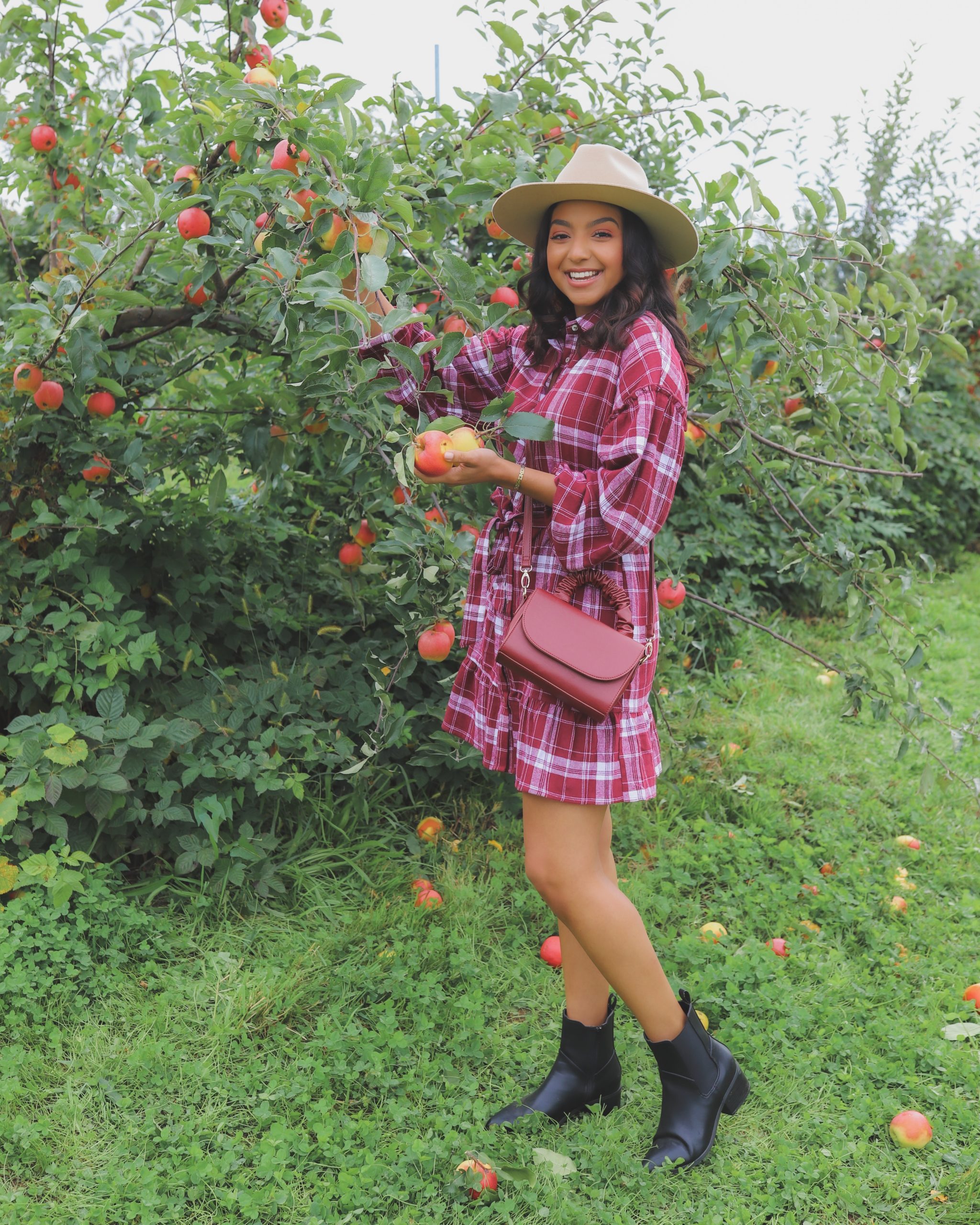 5 Farms to Visit in New York During the Fall Season